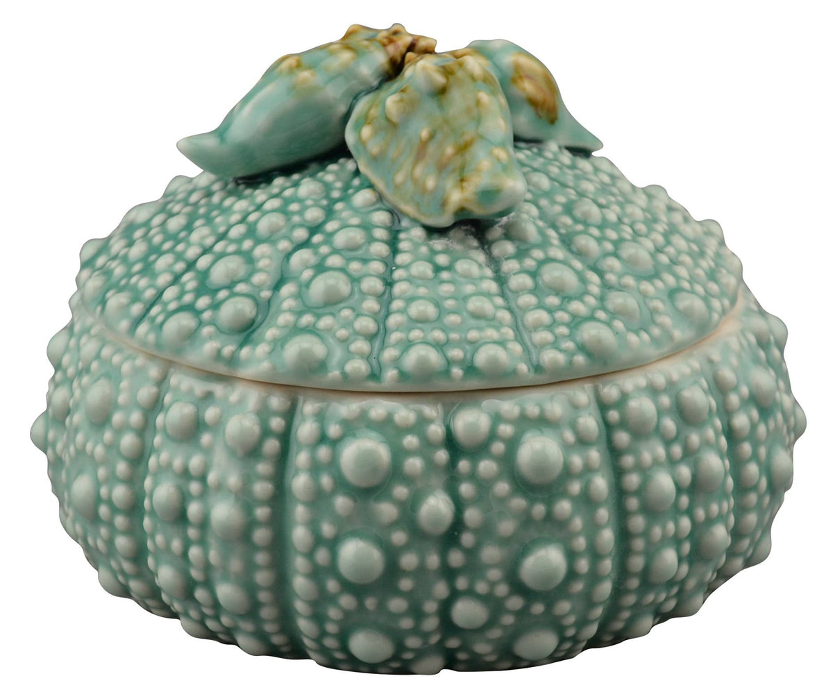 Turquoise Urchin 7.5" Ceramic Box – Island Love Story